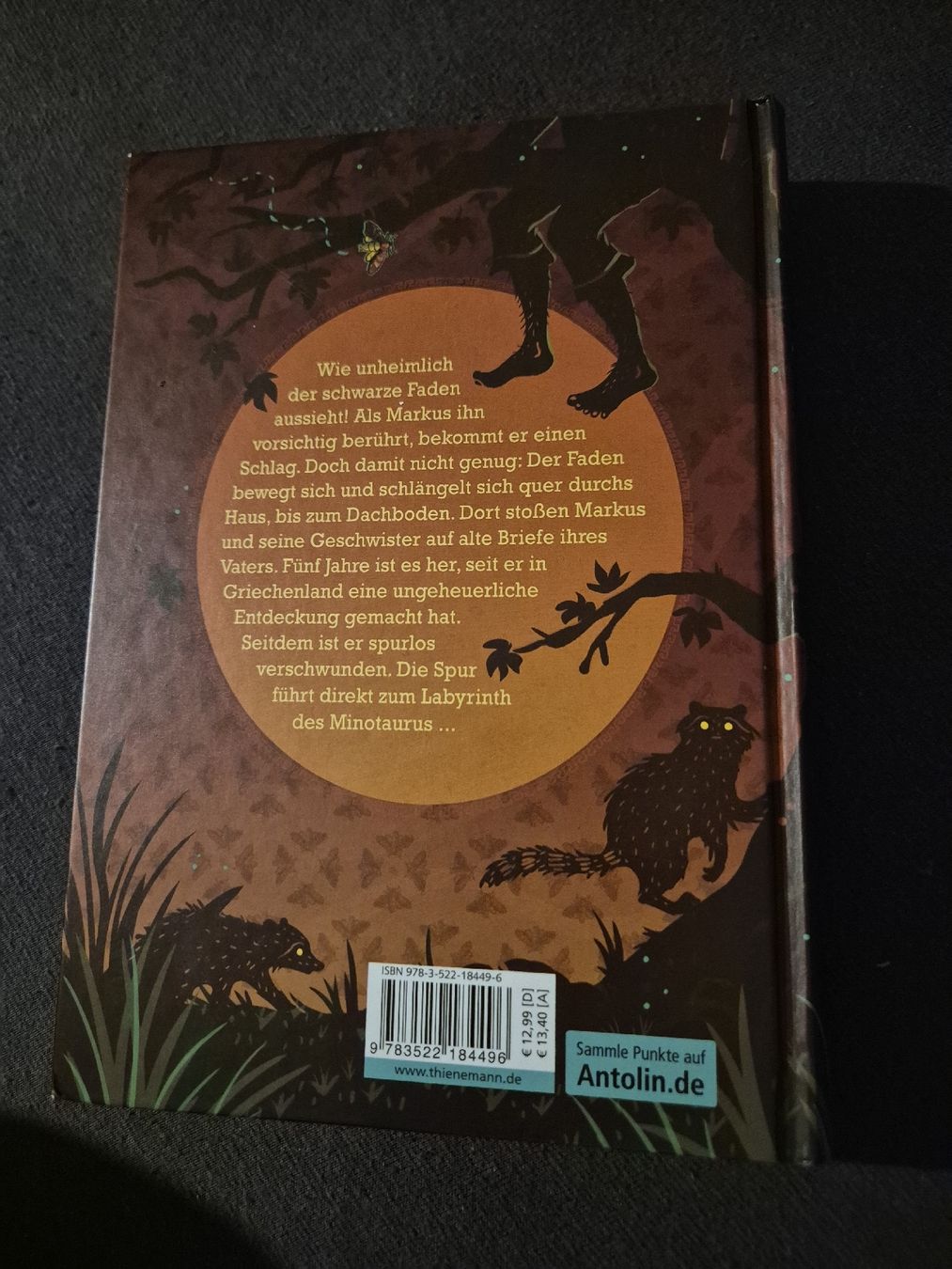 Tom Llewellyn - Der magische Faden, Jugendbuch (Neu (gemäss ...