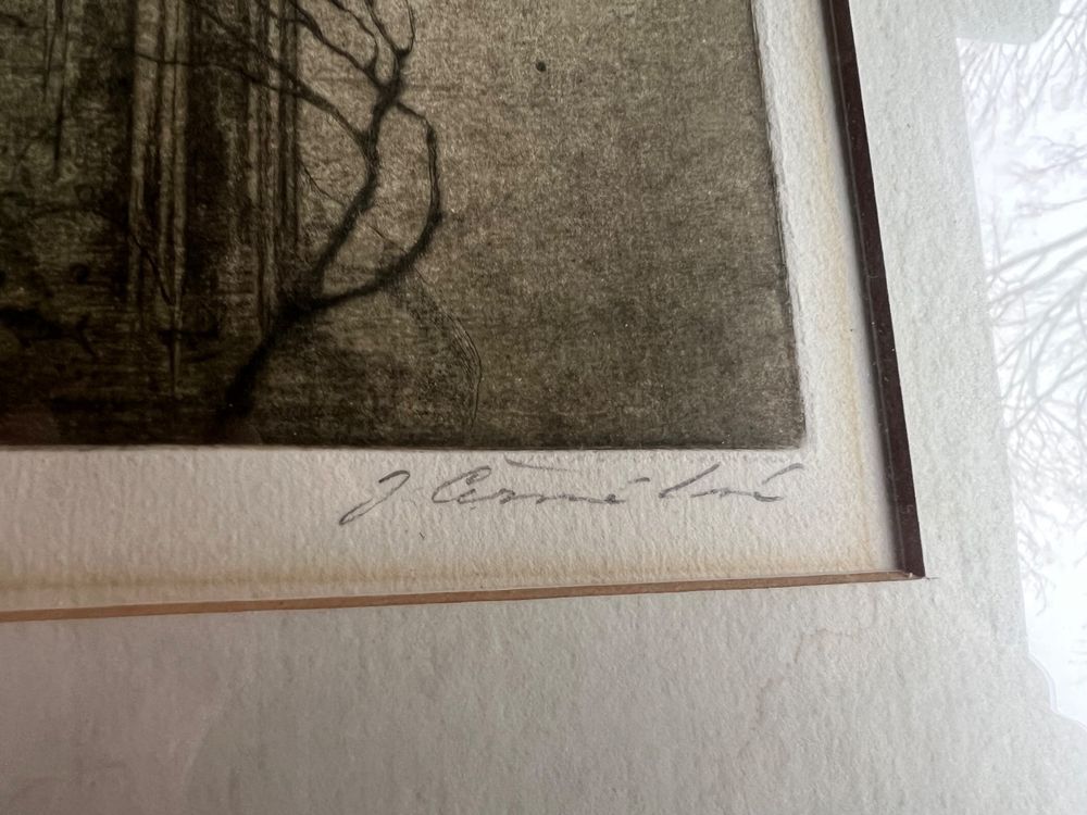 Originale lithografier mit Signatur, Nr 96 (Gebraucht) in Glattfelden ...