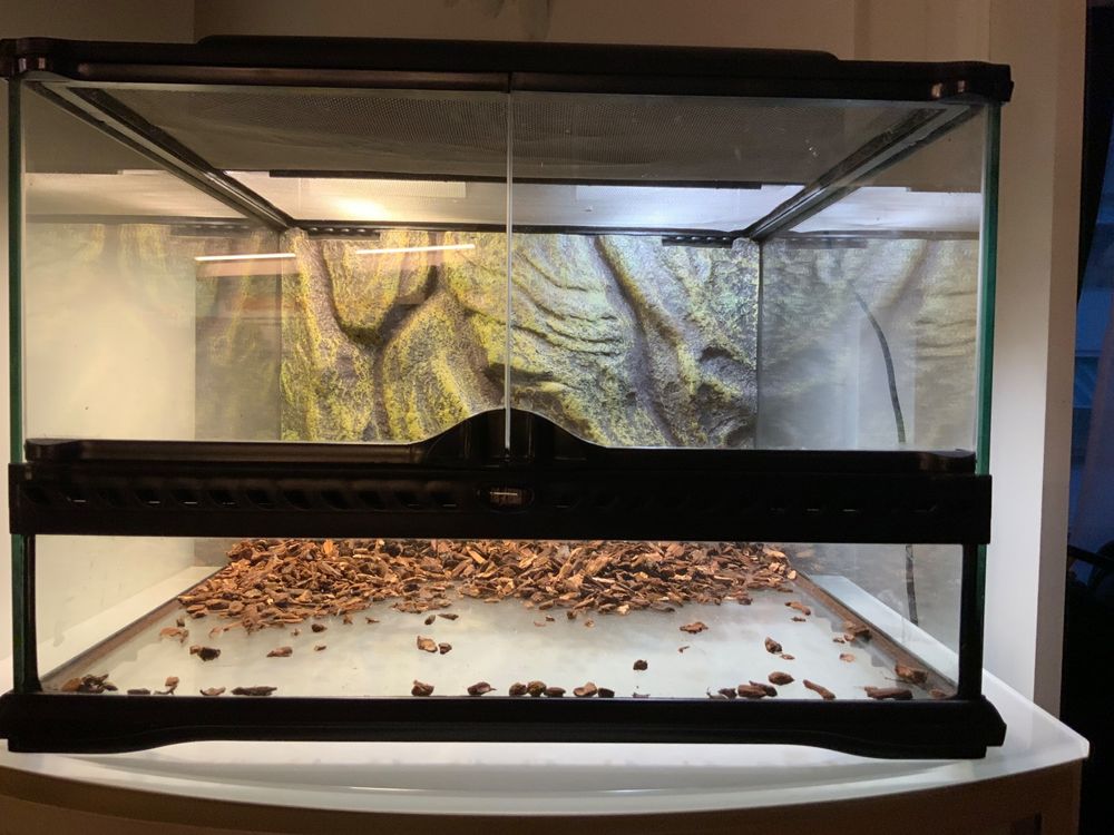 Terrarium EXO Terra mit Lampe (Gebraucht) in Rorschach für CHF 61 – mit ...