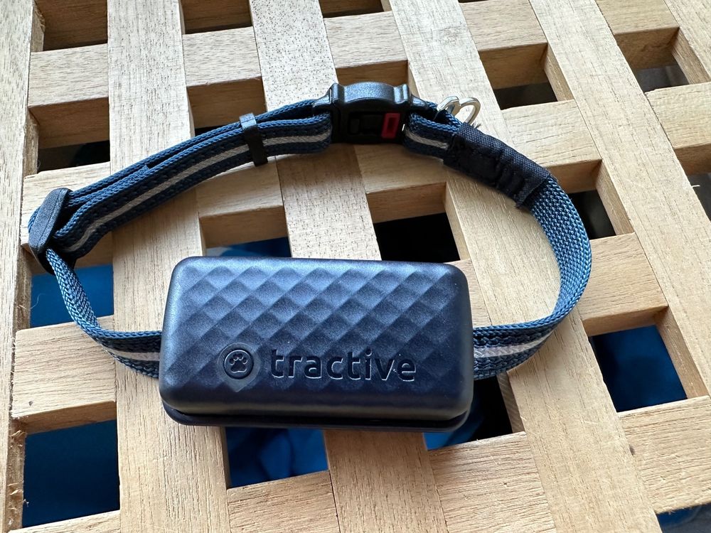 Tractive Katzen GPS Halsband und Abo bis März 2024 (Neu (gemäss ...