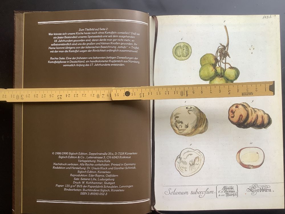 Buch: Joseph Vogt – Kartoffeln, 1986 (Gebraucht) in Basel für CHF 3 ...