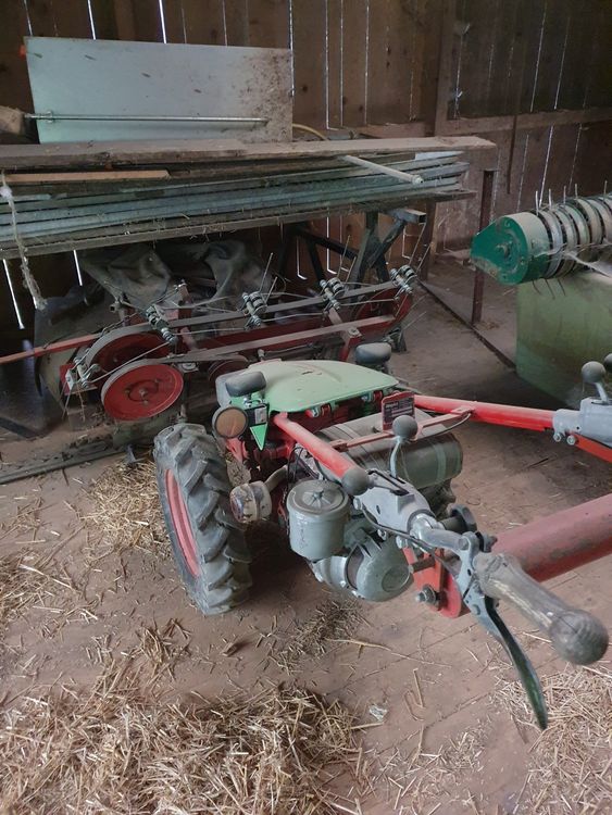 Rapid 505 | Kaufen auf Ricardo