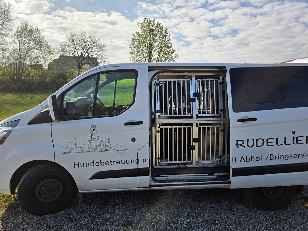 Ford Transit Custom 9-Plätzer mit Boxen (Gebraucht) in Sonterswil für ...