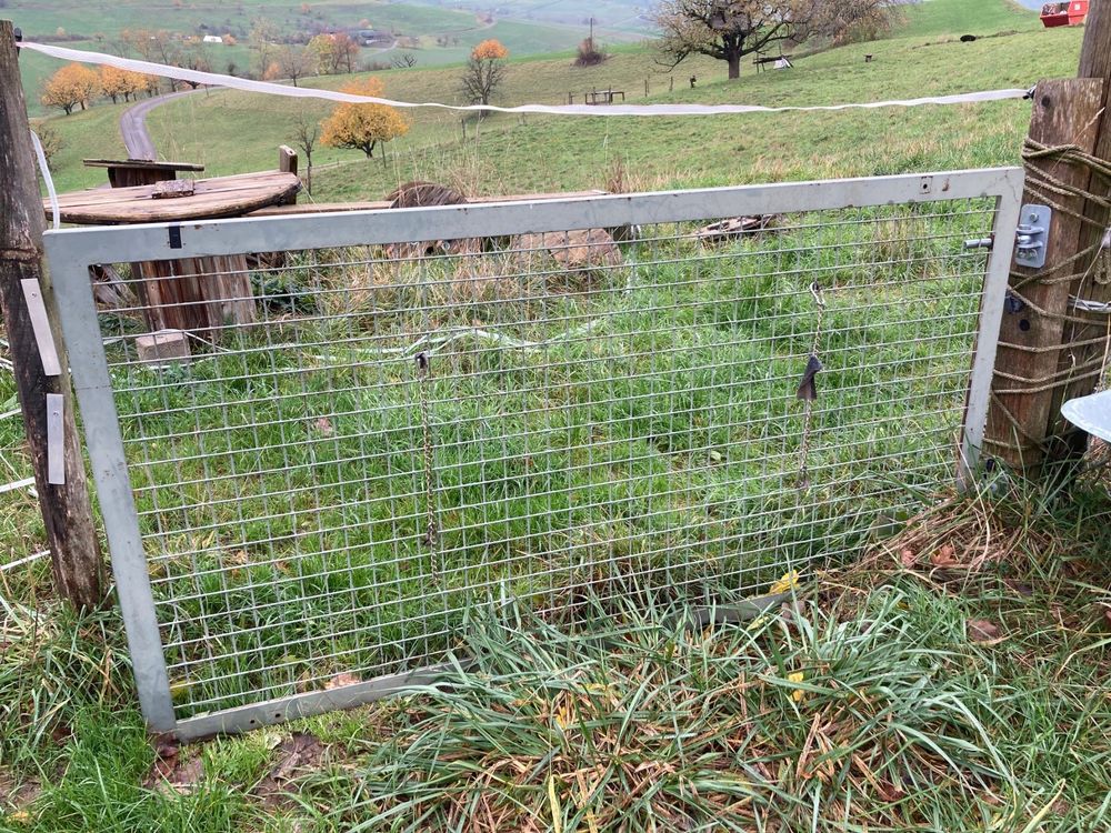 Weidetor Metall | Kaufen auf Ricardo