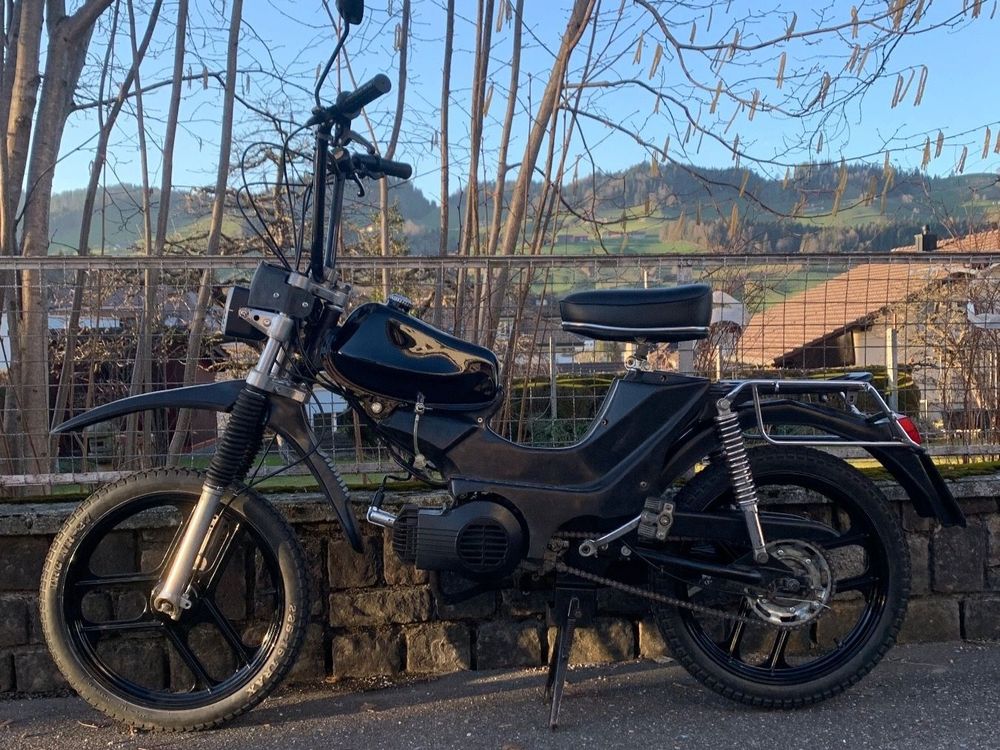 Pony Cilo (Gebraucht) in Schüpfheim für CHF 1500 – nur Abholung auf ...