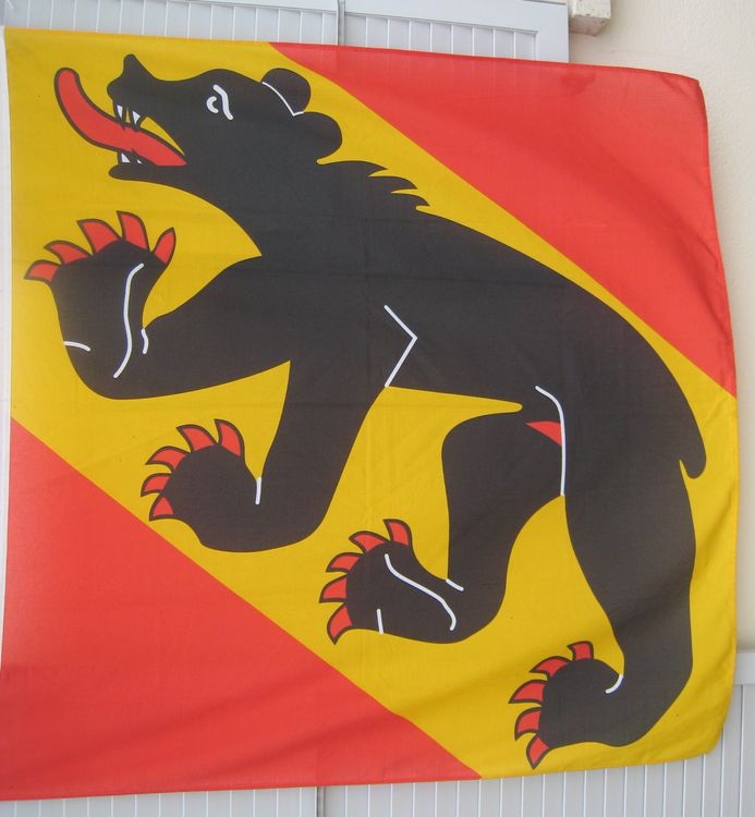 Berner Kantonsfahne 150 x 150 cm | Kaufen auf Ricardo