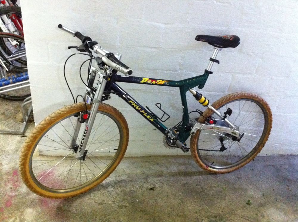 ProFlex Beast Mountain Bike (Vintage 90s) (Gebraucht) in Neuhausen für ...