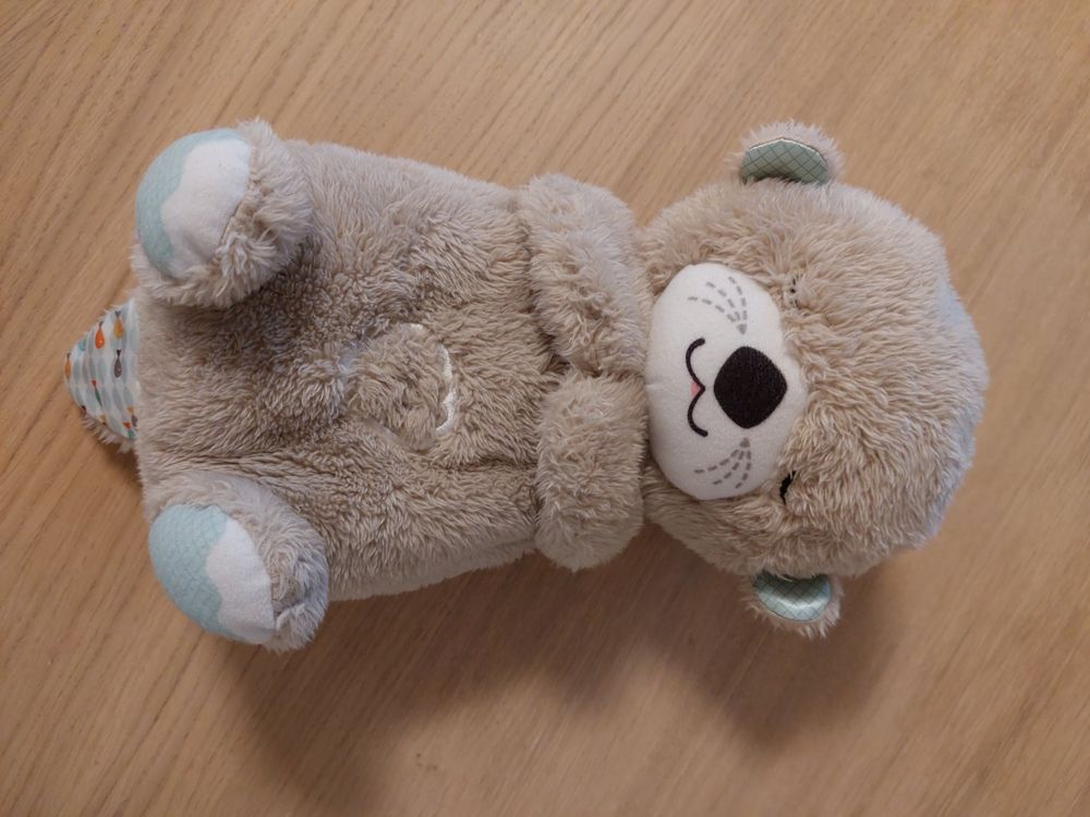 Fisher-Price Schlummer-Otter | Kaufen auf Ricardo