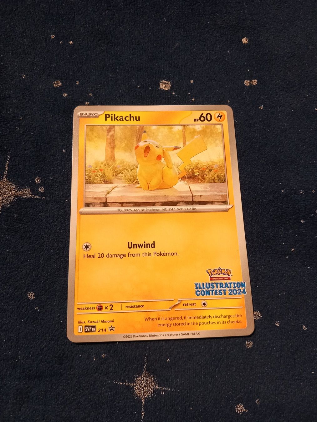 Pikachu Illustration Contest 2024 (EN) SVP Black Star Promo (Gebraucht ...