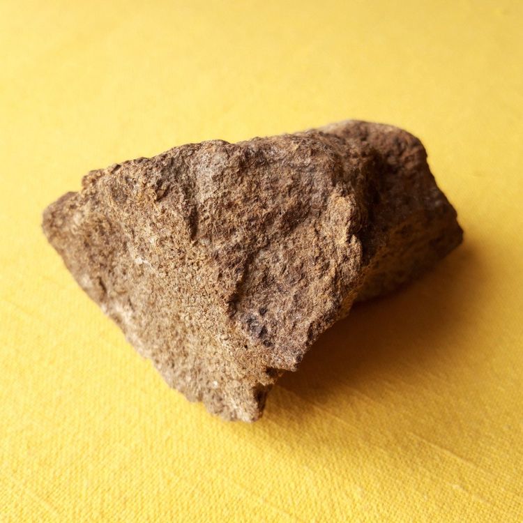 versteinerter Dinosaurier-Knochen Fossil (Gebraucht) in Egg b. Zürich ...