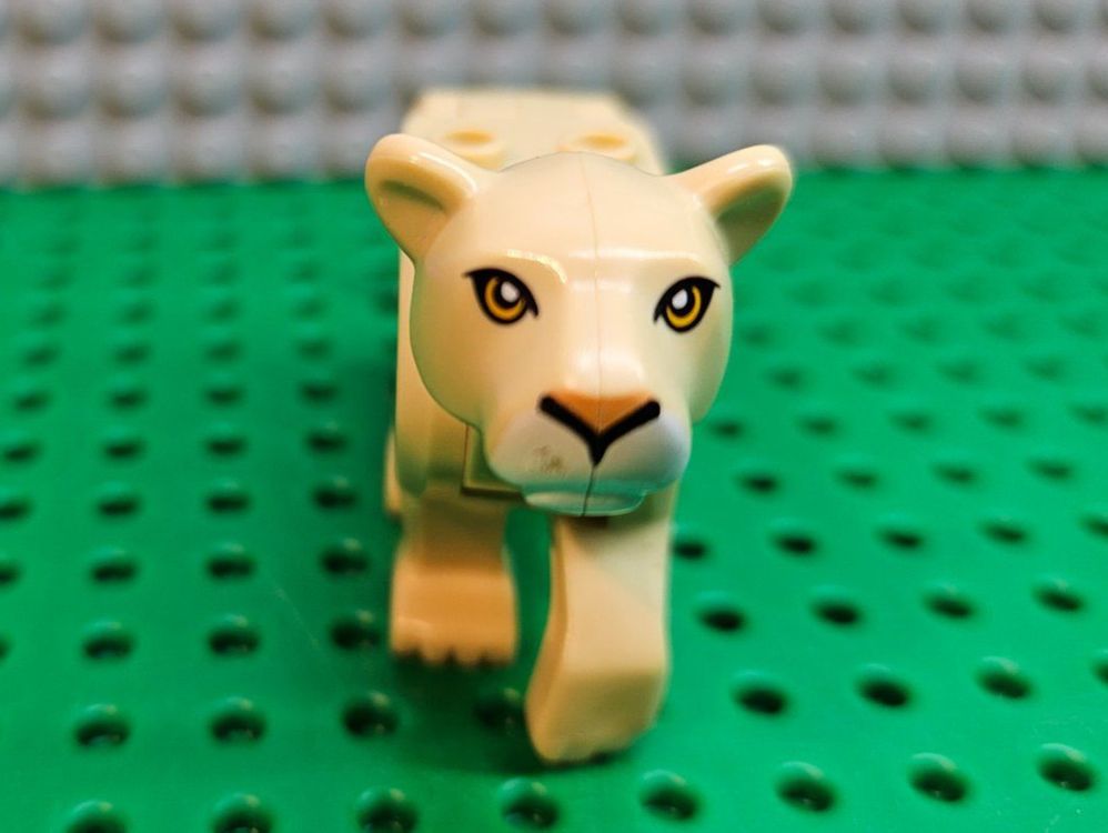 1 Lego - Tiere, Löwin, Puma, Panther hell (Gebraucht) in Wauwil für CHF ...