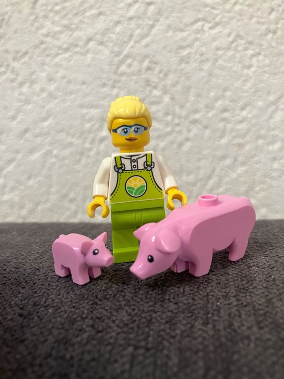 Lego figurine Farmer and pigs Minifigur (Gebraucht) in für CHF 5.9 ...