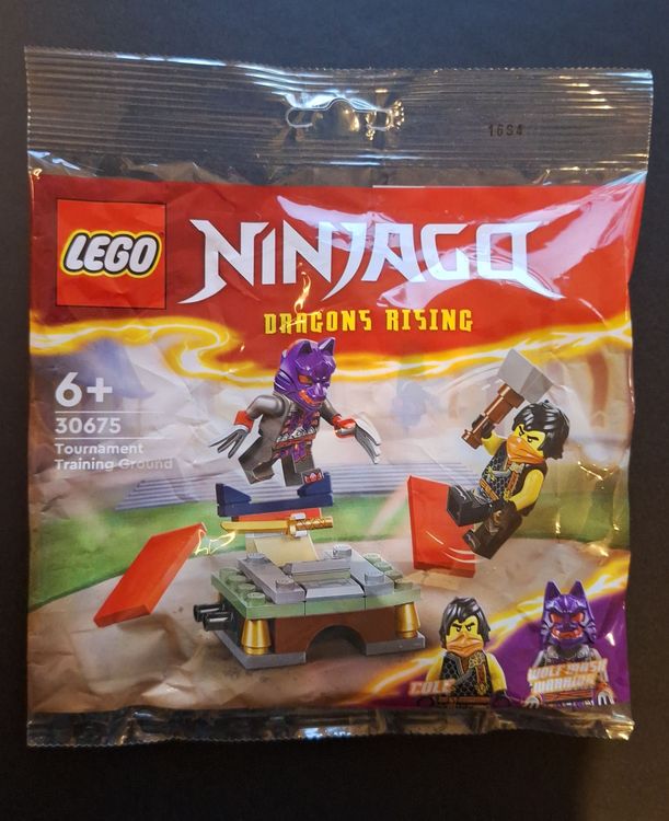Lego Ninjago Polybag 30675 Dragons Rising | Kaufen auf Ricardo