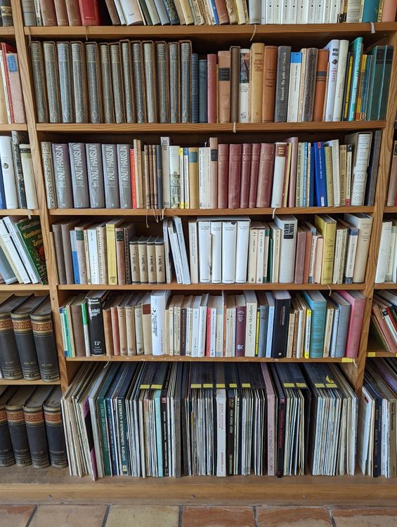 Bücherwand, Bibliothek, Schallplatten | Kaufen auf Ricardo
