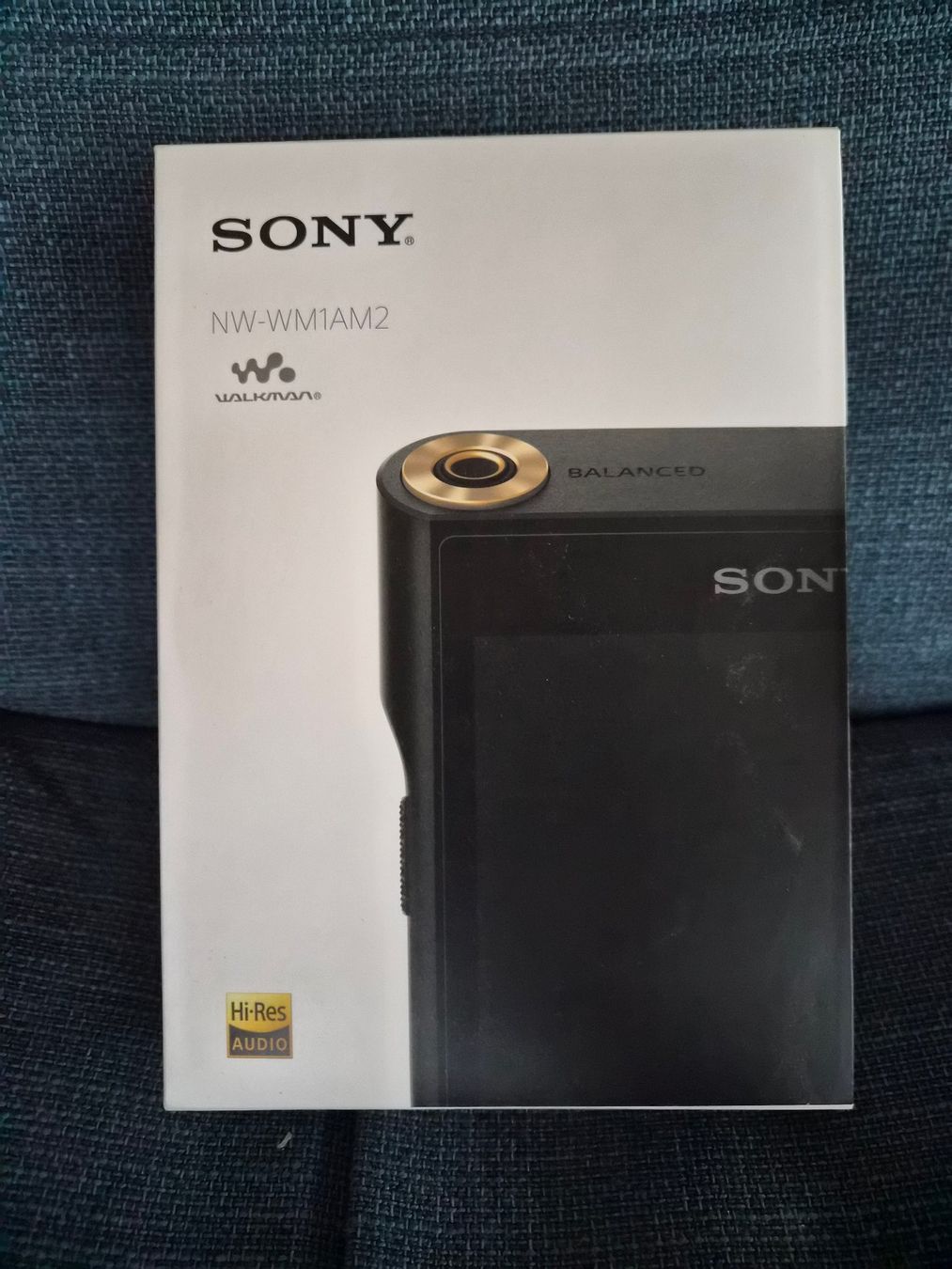 SONY NW-WM1AM2 (2022) Walkman Asia Version - 128 GB (Gebraucht) in ...