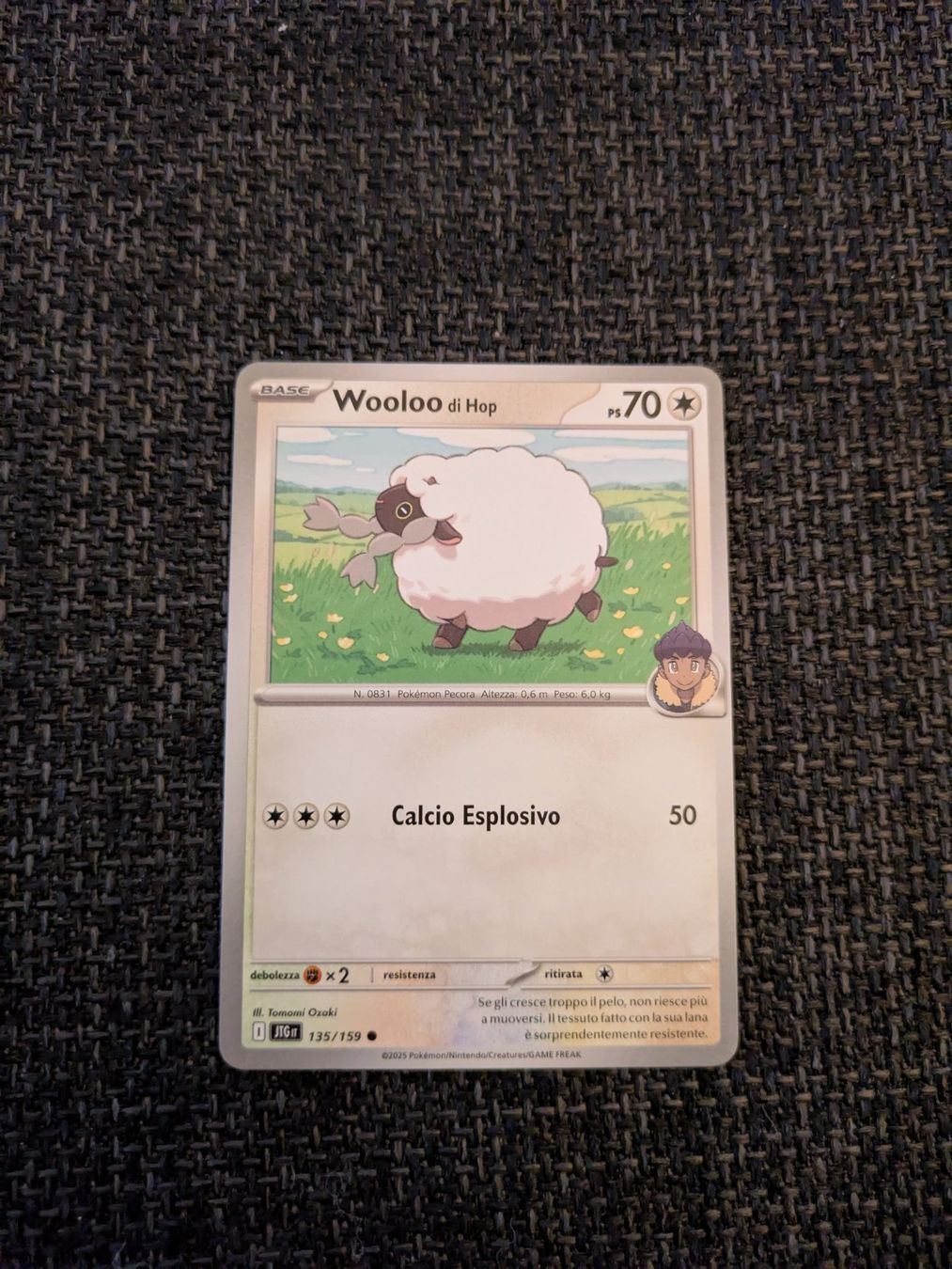 WOOLOO, JOURNEY TOGETHER, JTG135, COM, 2025, ITA, NM (Gebraucht) in ...