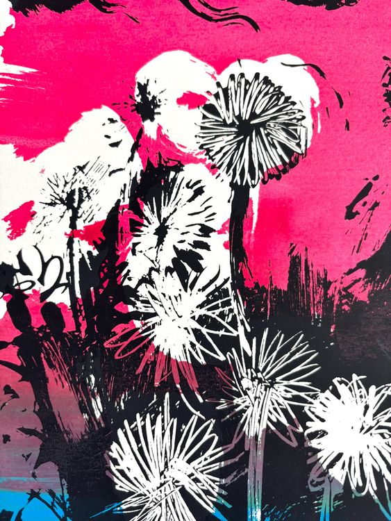 ANTON BRUHIN 08/30, SIGNIERT 🧲 CH Sammlung 🧲 LIQUIDATION (Gebraucht) in ...