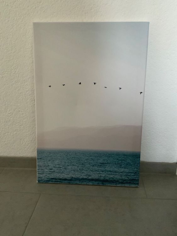 Bild Meer | Kaufen auf Ricardo