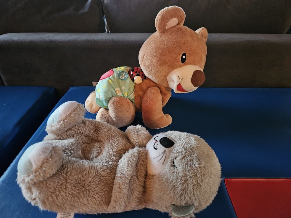 Fisher-Price Schlummer-Otter & VTech Krabbel mit mir Bär (Gebraucht) in ...