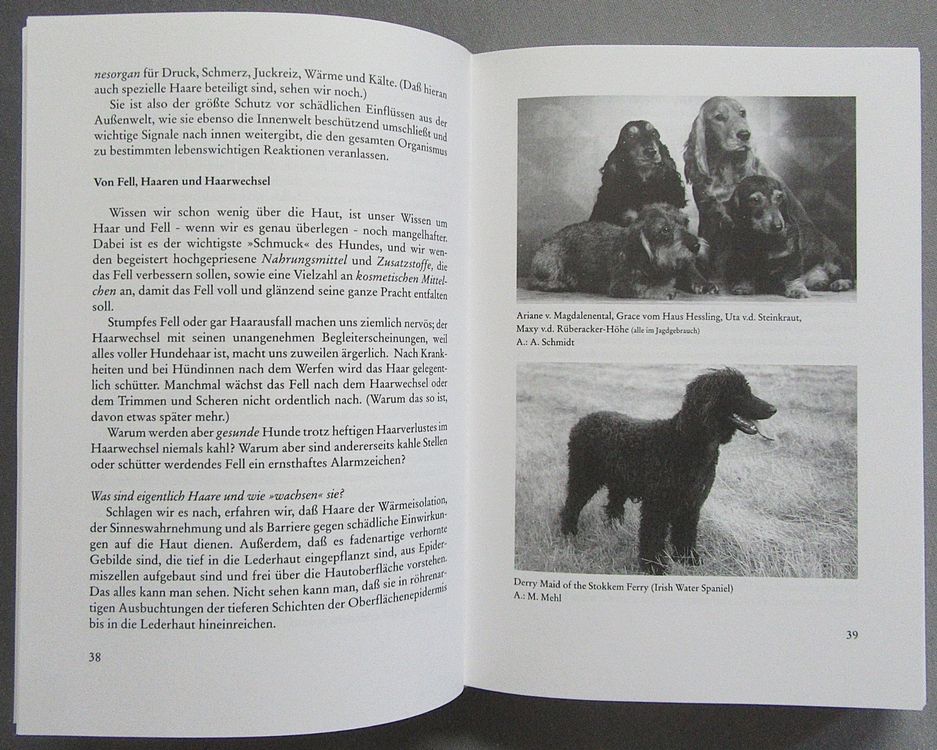 Von der Gesundheit des Hundes - von Eric H.W. Aldington (Gebraucht) in ...