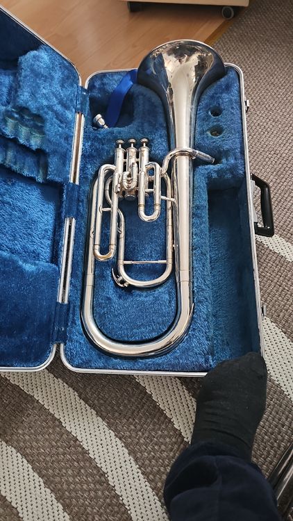 Yamaha Althorn YAH-201S inkl. Koffer (Gebraucht) in Kreuzlingen für CHF ...