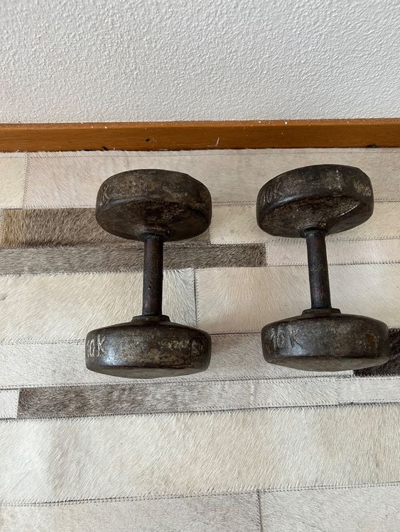Paire d'haltères à tête ronde en fonte vintage de 10 kg | Kaufen auf ...