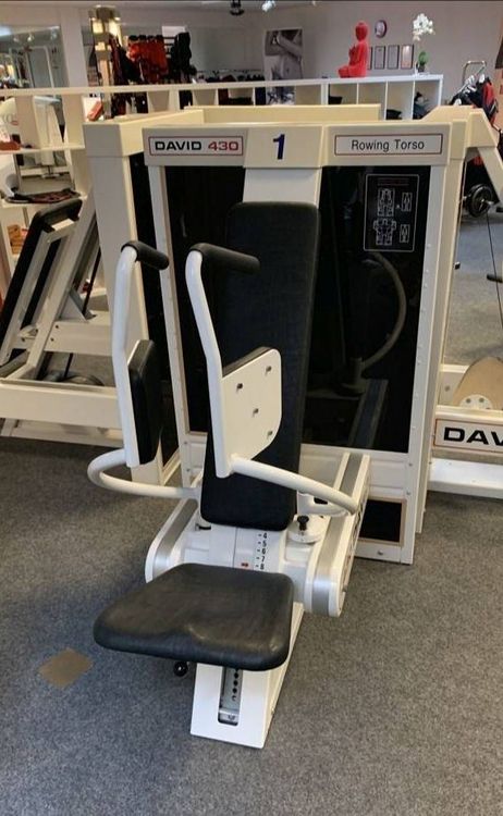 Fitnessgerät David 430 Rowing Torso | Kaufen auf Ricardo