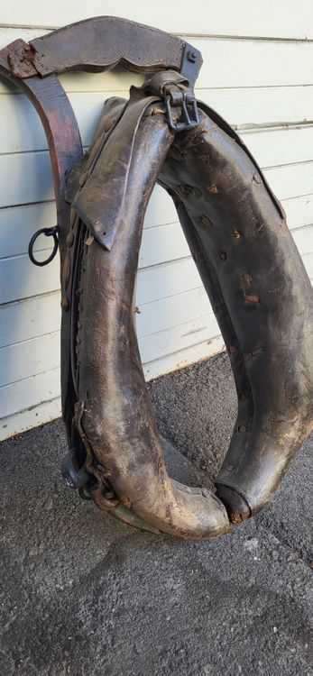 Pferde Kummet (Gebraucht) in Bellach für CHF 50 – nur Abholung auf ...