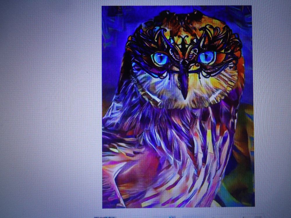 neu! Malen nach Zahlen, 50 x 65 cm, alles dabei (Neu (gemäss Beschreibung)) in Schüpfen für CHF ...