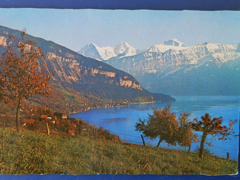 1961,Thunersee mit Eiger,Mönch,Jungfrau (Gebraucht) in Emmenbrücke für CHF 1.5 – mit Lieferung ...