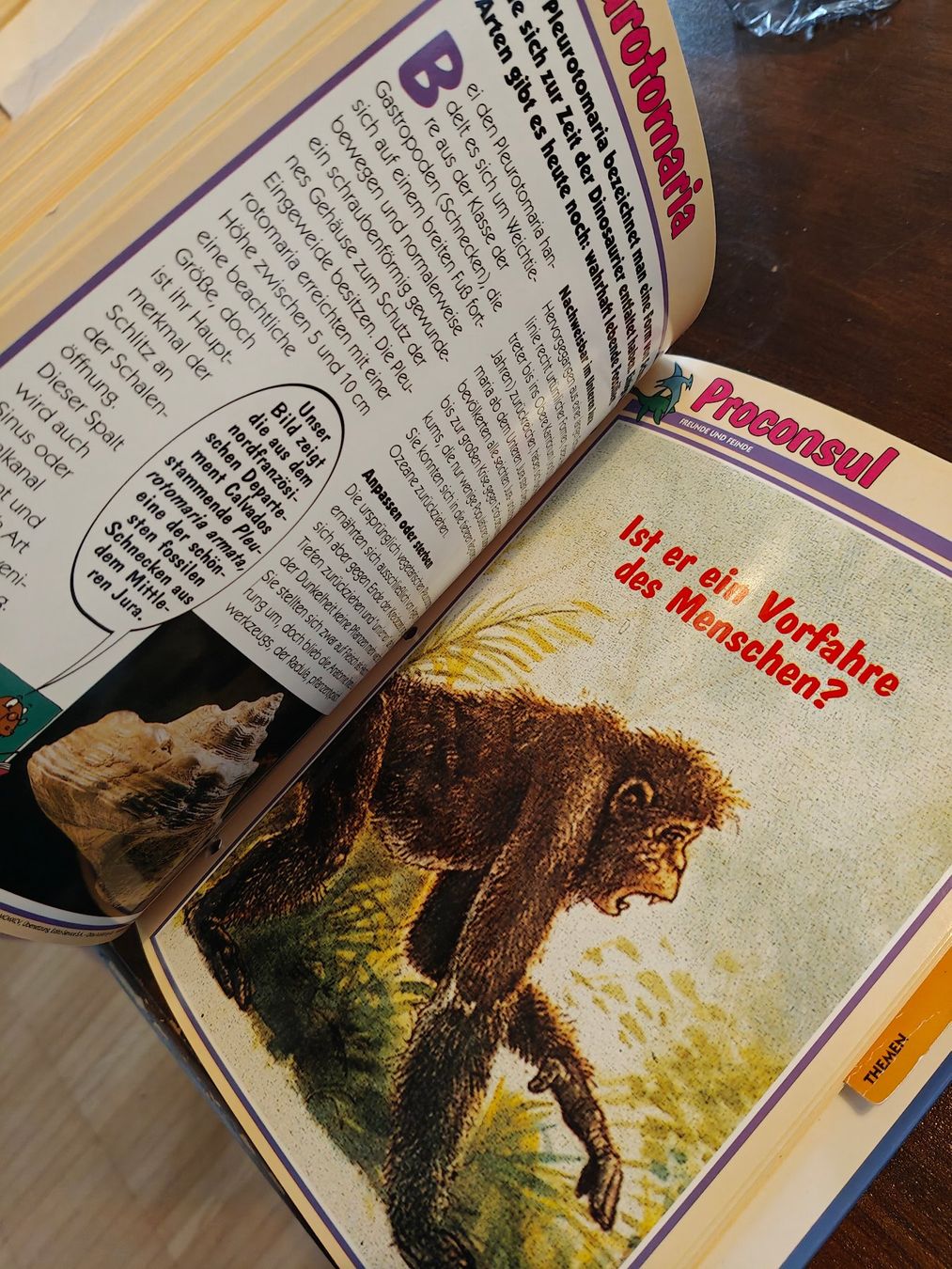 Dino Sammlung XXL -Die Welt der Dinosaurier 2x Atlas Ordner (Gebraucht ...