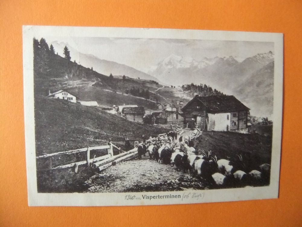 Visperterminen ob Visp Valais Wallis (Gebraucht) in St. Niklaus VS für CHF 11 – mit Lieferung ...