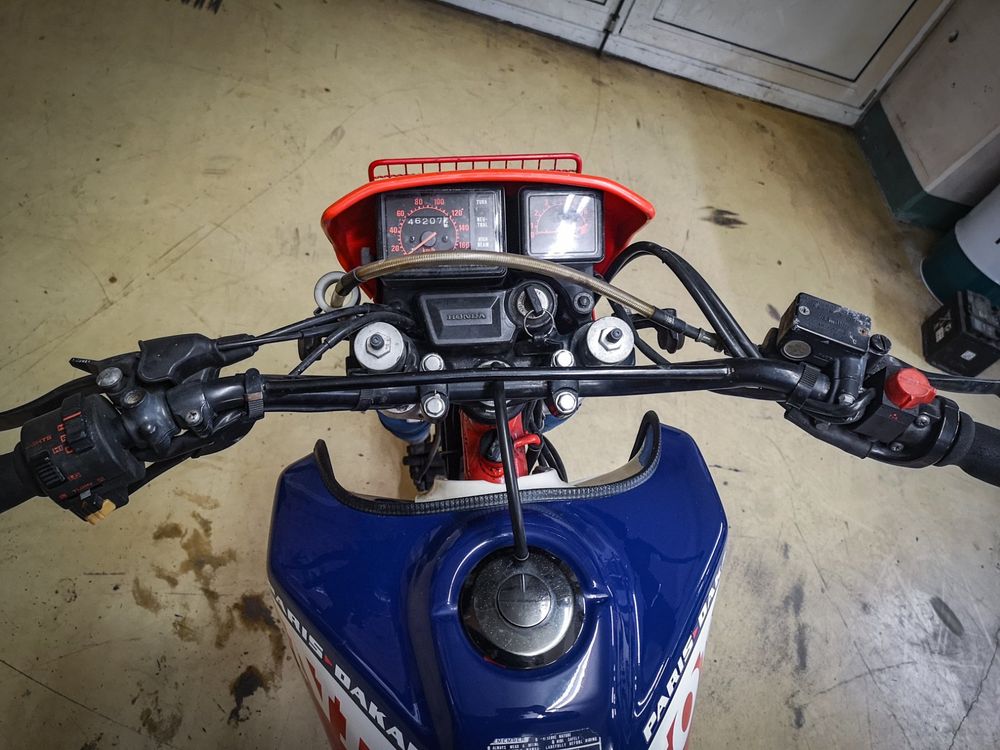Honda XL 600 DAKAR | Kaufen auf Ricardo
