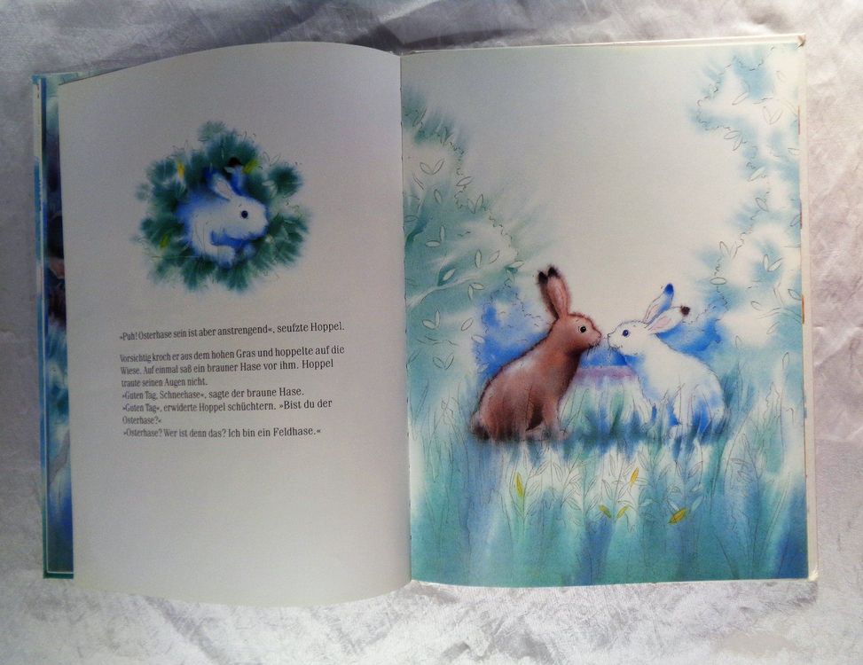 Hoppel und der Osterhase /Marcus Pfister Bilderbuch | Kaufen auf Ricardo