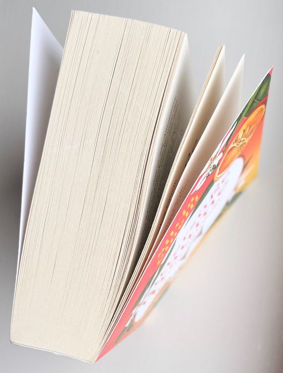 Bittersüsse Träume – Silvia Cinelli – Roman – TB – Top 2025 (Neu ...