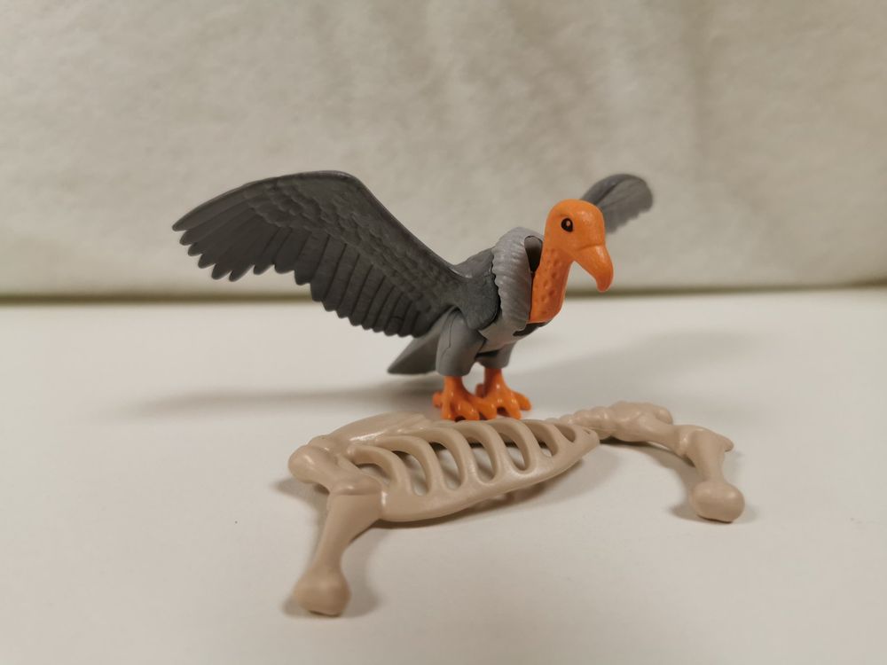 Neuer Geier mit Knochen von Playmobil (Neu (gemäss Beschreibung)) in ...