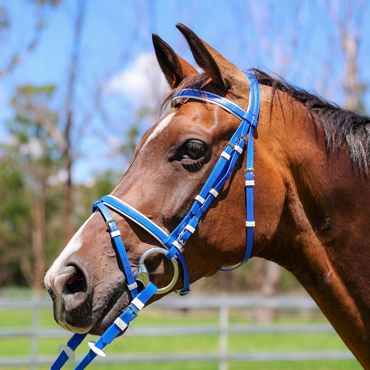 Top Kunststoff Ponyzaum mit Zügel BLAU (Neu und originalverpackt) in ...