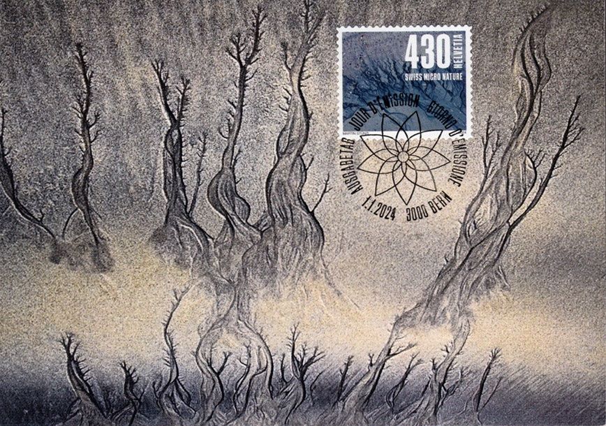 Maximumkarte Naturmuster - Sand | Kaufen auf Ricardo