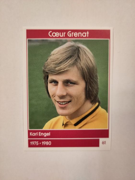 Autocollant coeur grenat (Servette FC) - Karl Engel (Gebraucht) in für ...