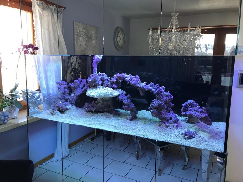 200x70x70 Meerwasser Aquarium (Neu (gemäss Beschreibung)) in Berikon für CHF 6640 – nur Abholung ...