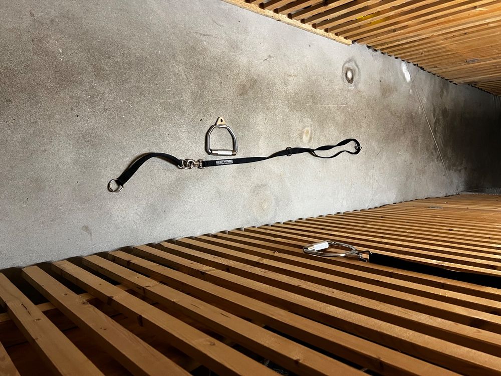 EliteFTS blast straps - Schlingentrainer | Kaufen auf Ricardo