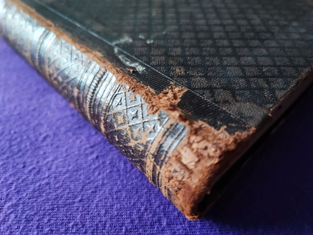 Familienbibel, Auzug aus der hl. Schrift, von 1888 (Gebraucht) in ...