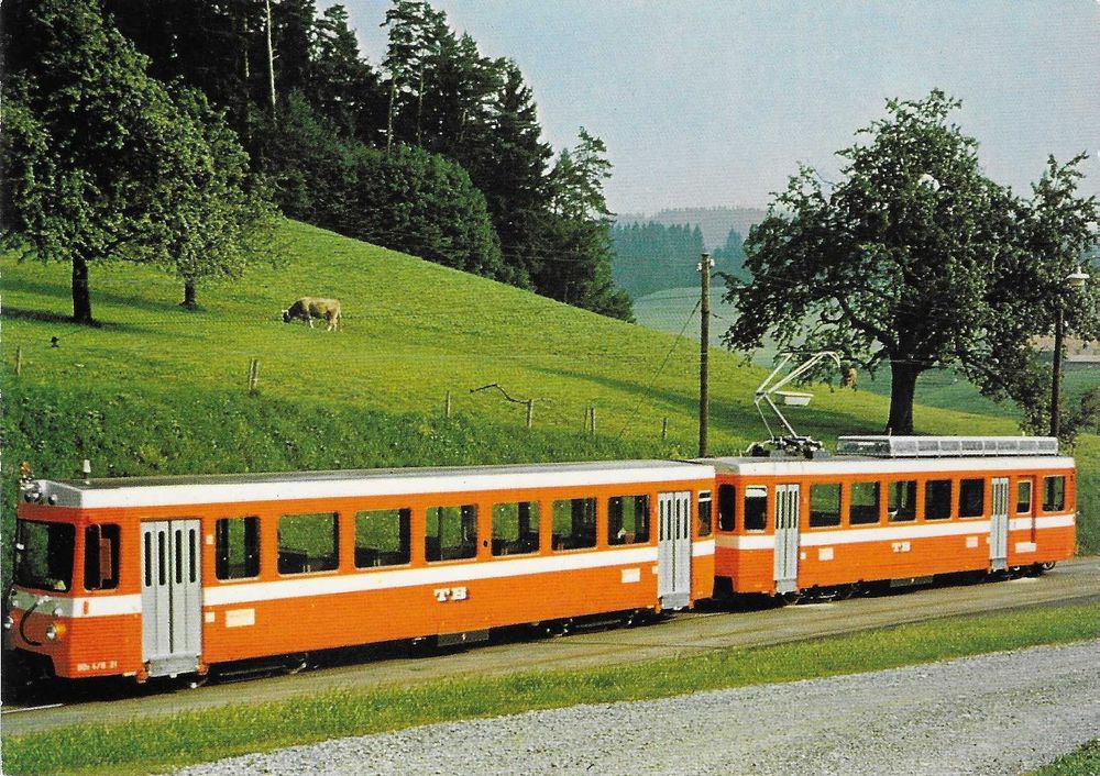 Trogenerbahn St.Gallen-Speicher-Trogen Pendelzug BDe 4/8 (Neu (gemäss ...