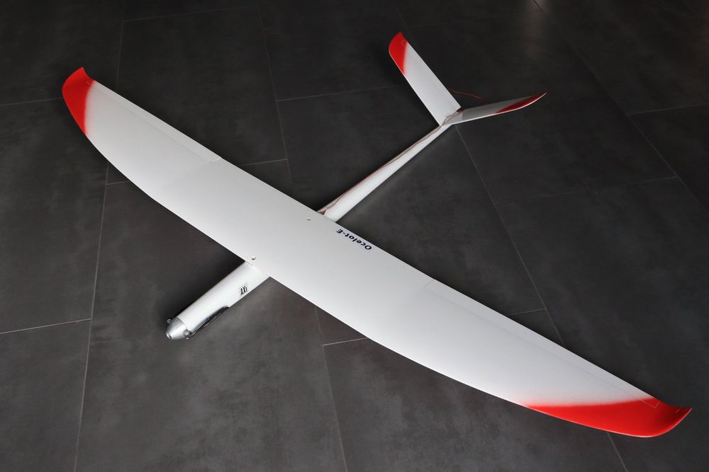 E-Ocelot, 147cm Hotliner (Elektrosegler) | Kaufen auf Ricardo