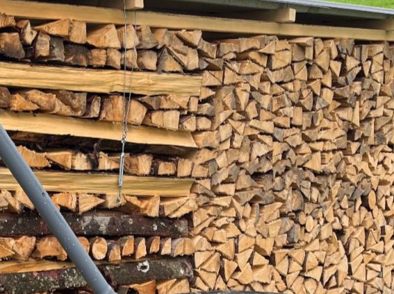 Brennholz Spälten 1.5 Ster (Gebraucht) in Walzenhausen-Lachen für CHF ...