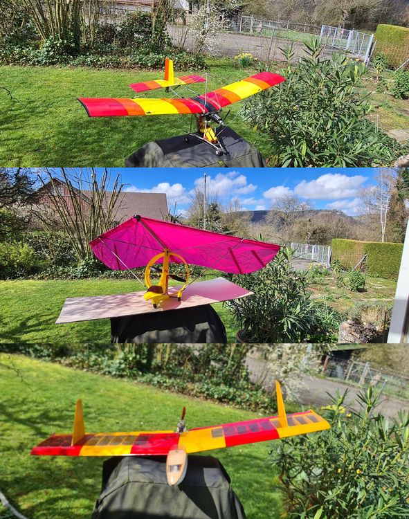 Flugmodelle (Gebraucht) in Mellingen für CHF 430 – nur Abholung auf Ricardo kaufen