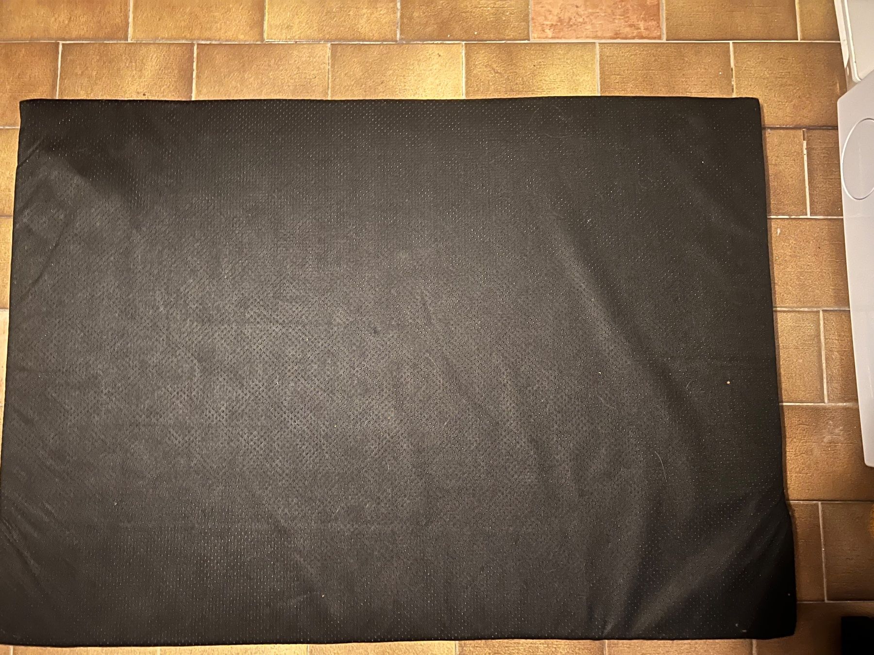 Pawz&Pepper Coussin pour chien, noir - confort optimal! (D'occasion) à ...