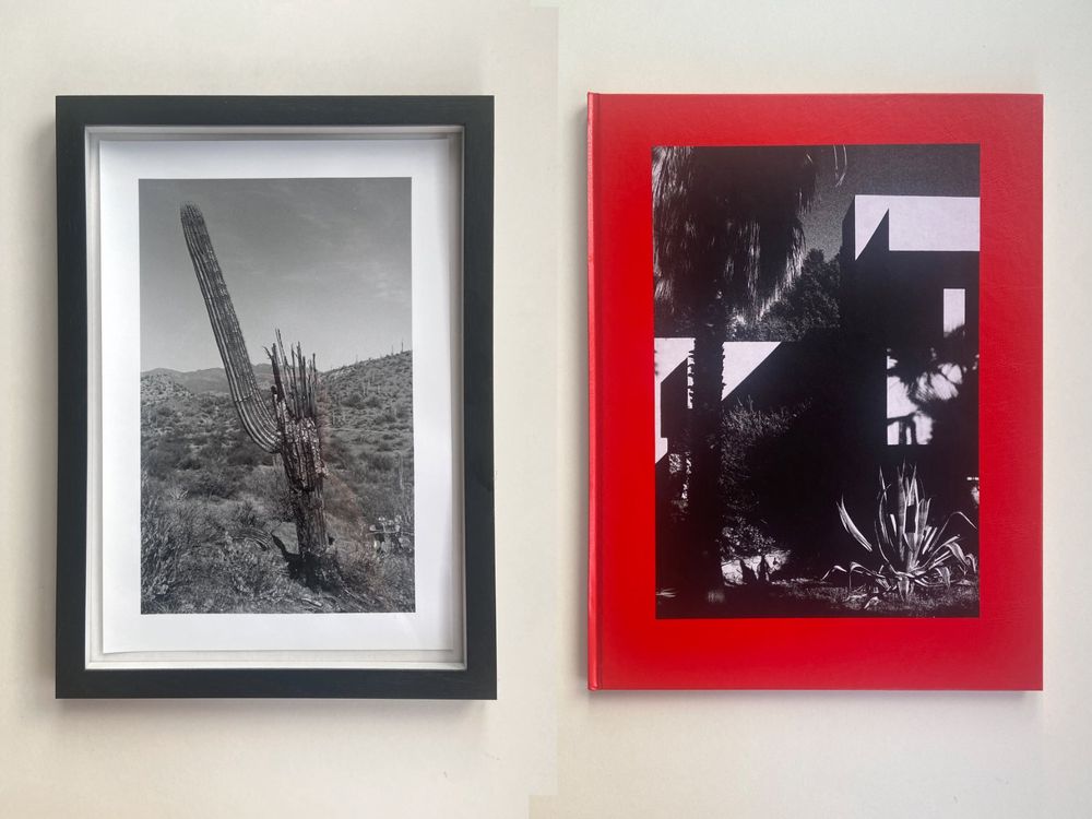 Peter Hauser. Original Fotografie (1/8 Baryt Print) & Buch. (Gebraucht ...