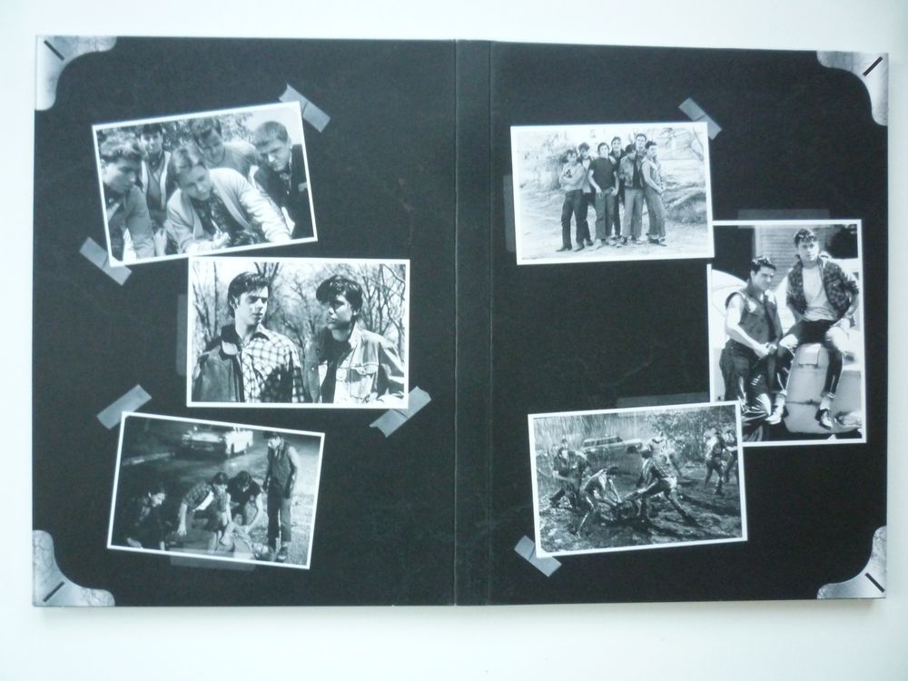 The Outsiders - Arthaus Klassiker 1983 Tom Cruise, P. Swayze (Gebraucht ...