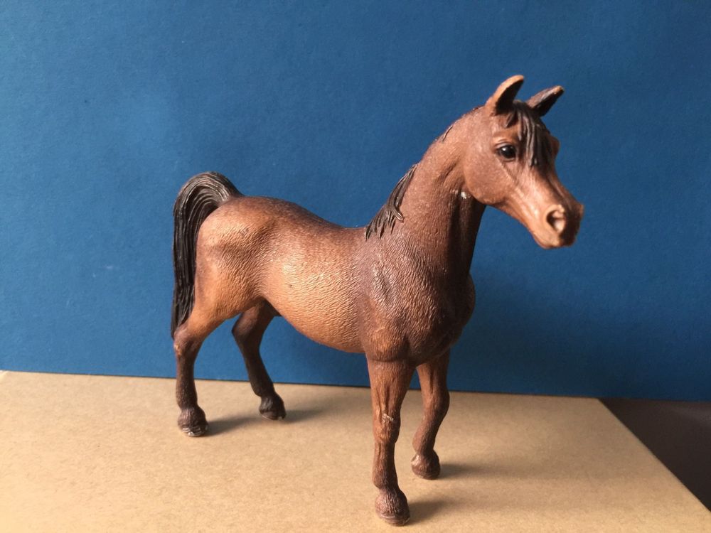 Schleich Araber Hengst 13629 Pferd (Gebraucht) in Ennetbaden für CHF 16 – mit Lieferung auf ...